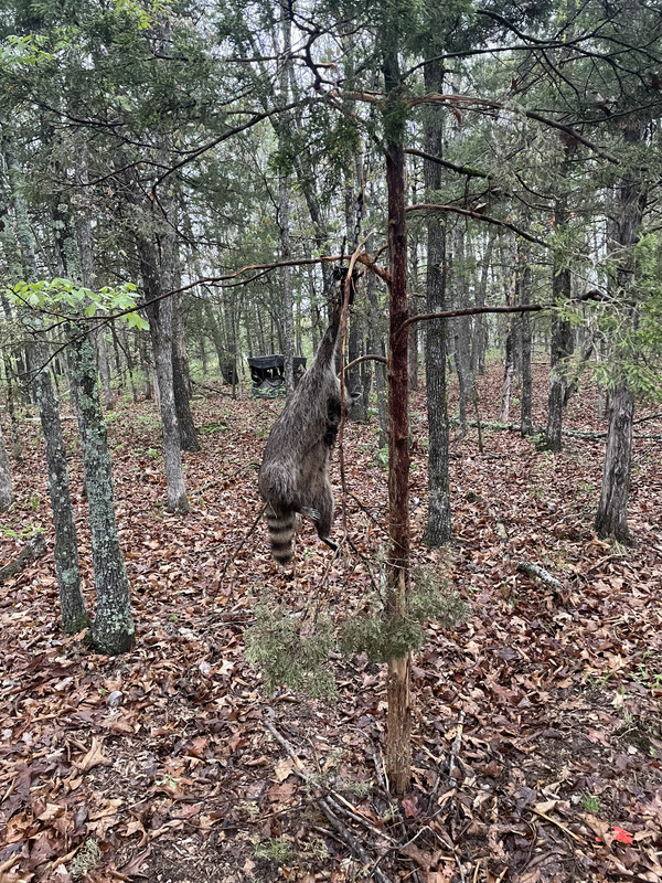 IMG 2943 — Postimages