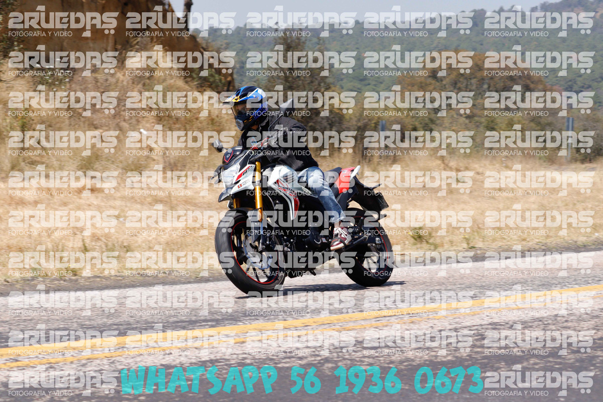 MG 1239 — Postimages