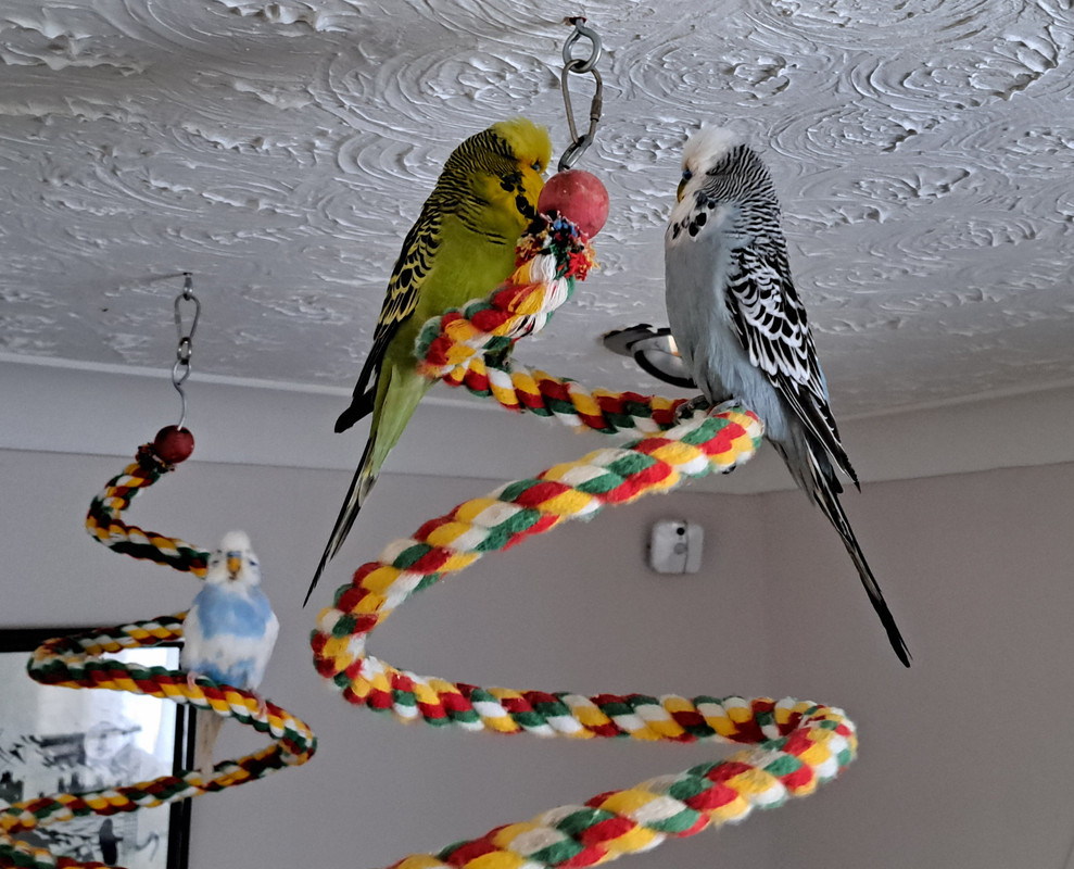 20230205 104445 — Postimages