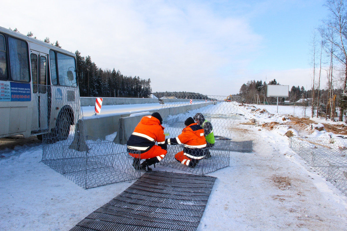 IMG 4133 — Postimages