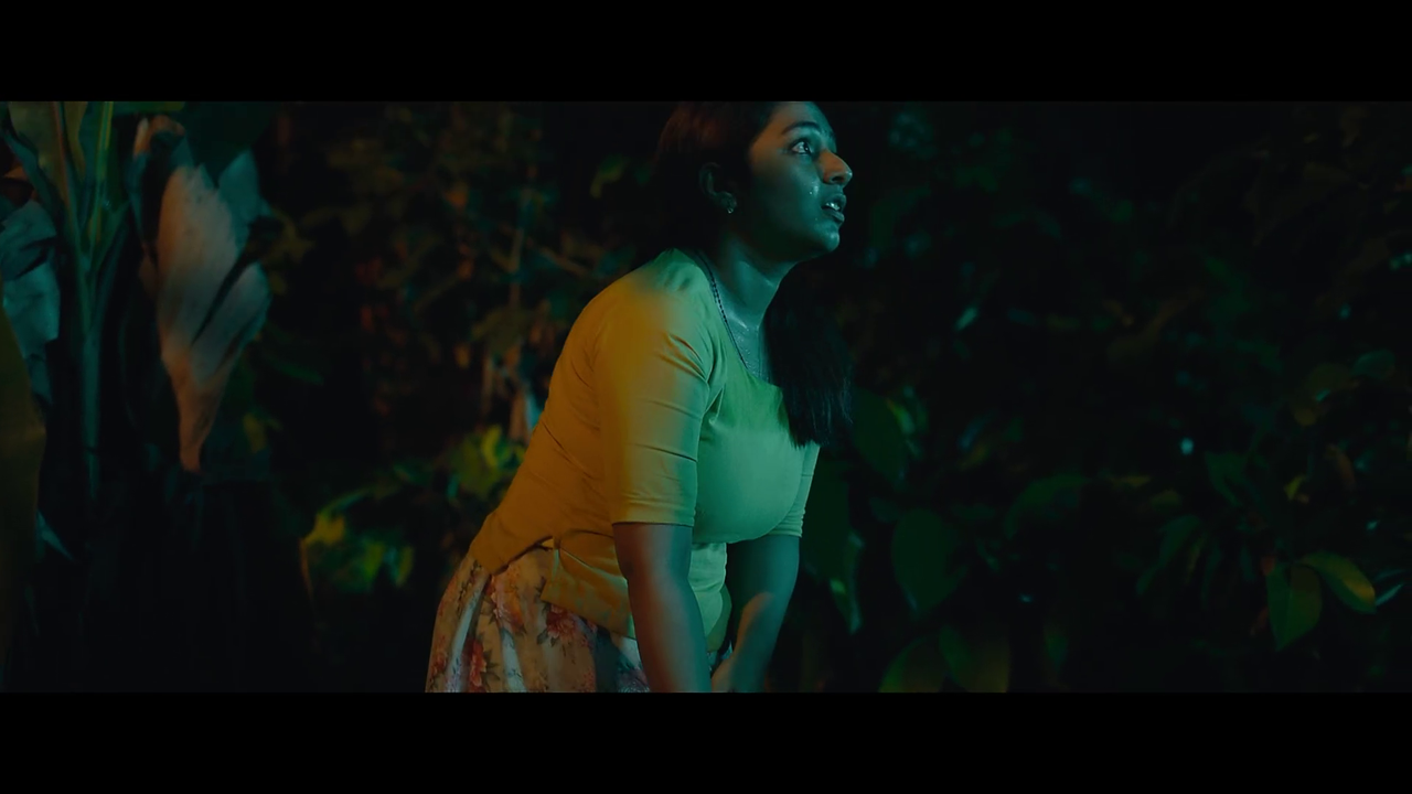 vlcsnap 2025 03 16 12h25m39s093 — Postimages