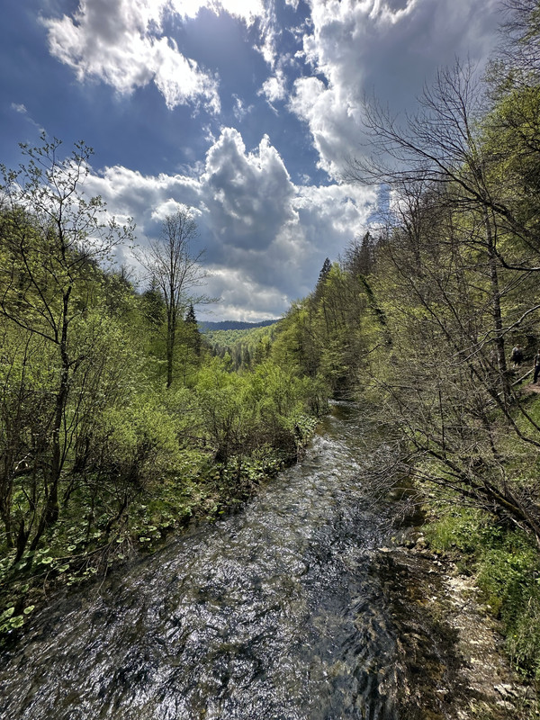 IMG 0234 — Postimages