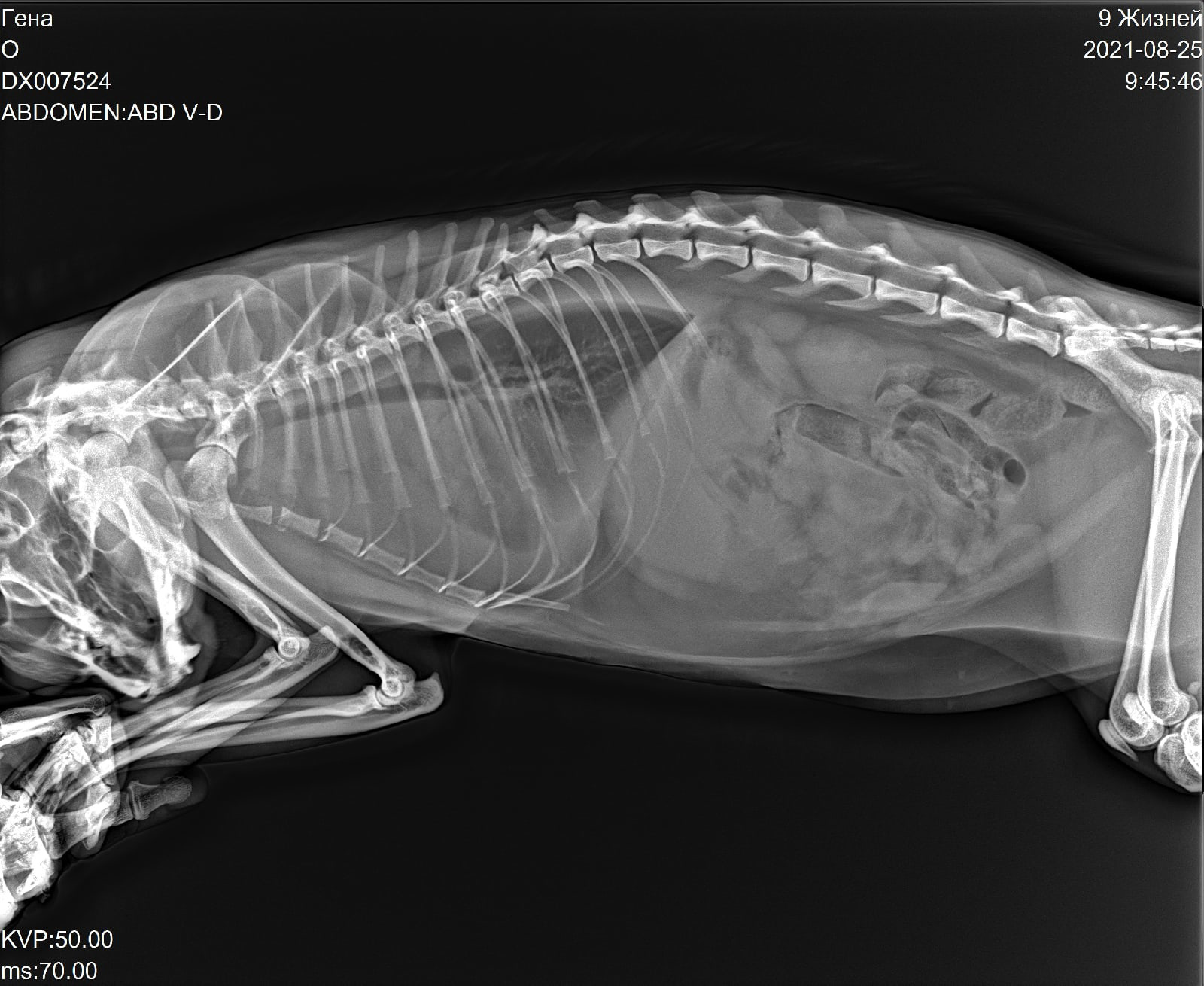 B3 D06 AF1 FAF4 4 E58 B102 BB3 C9228 D7 B4 — Postimages