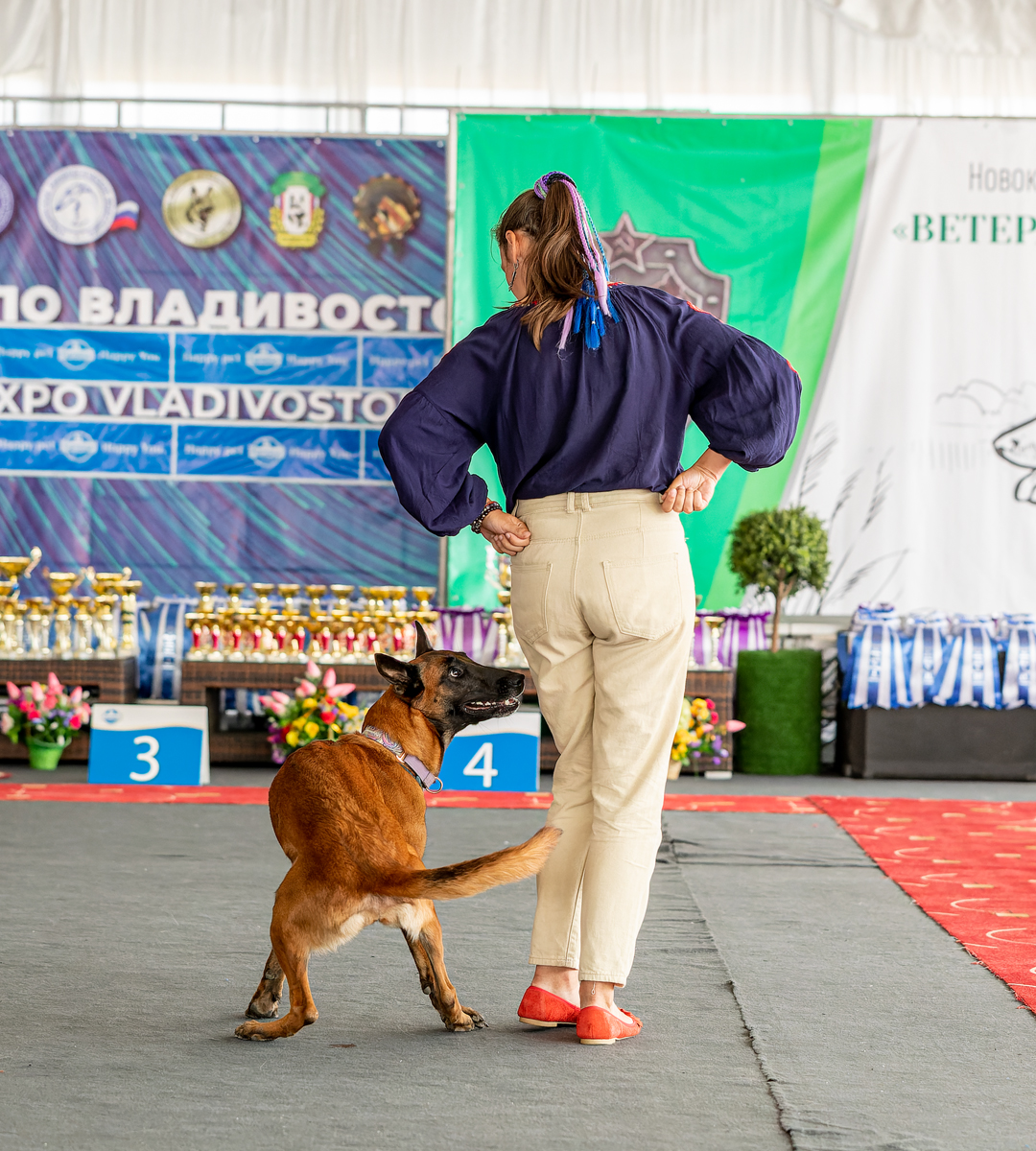 2519 CR2 — Postimages