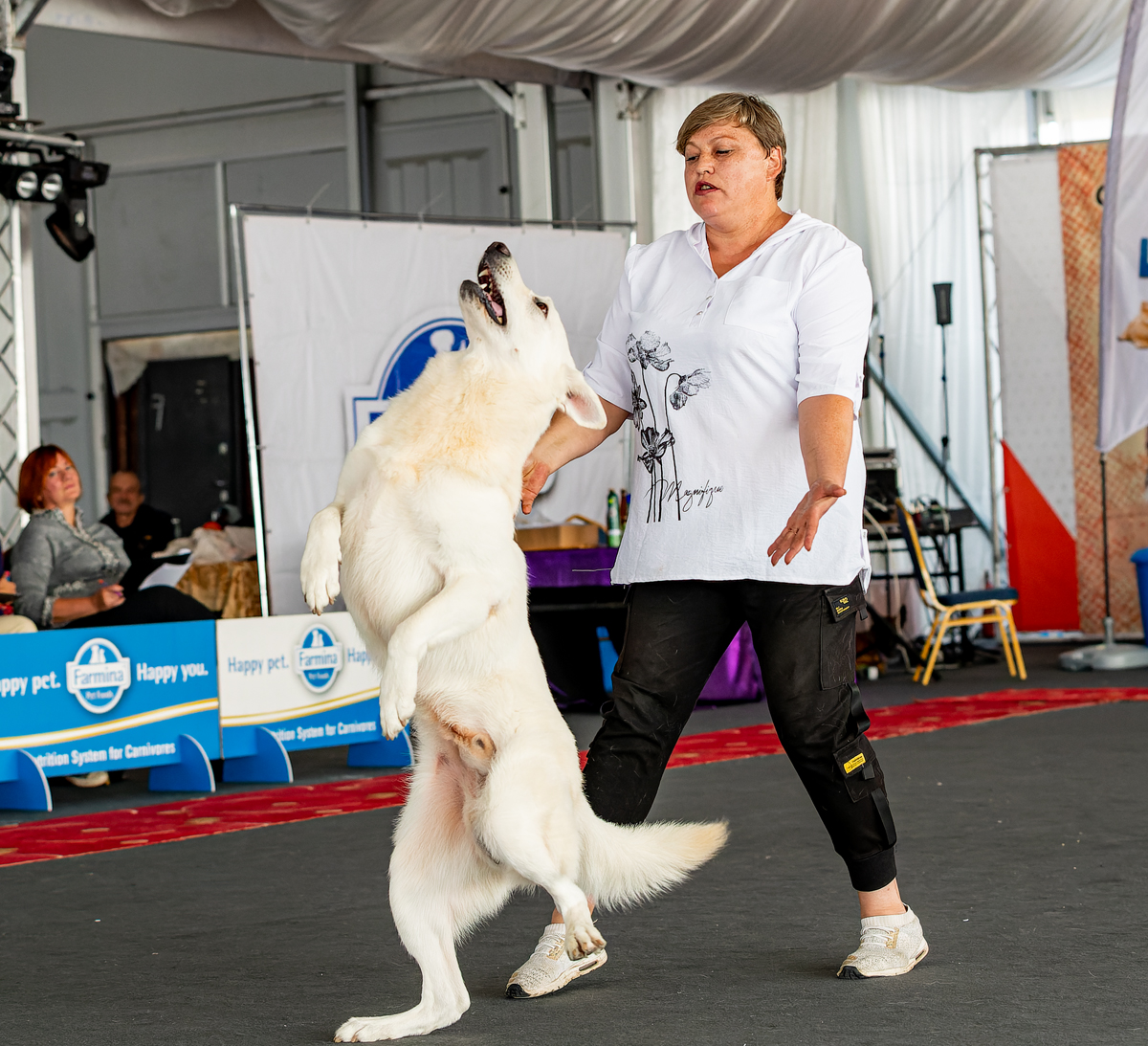 2347 CR2 — Postimages