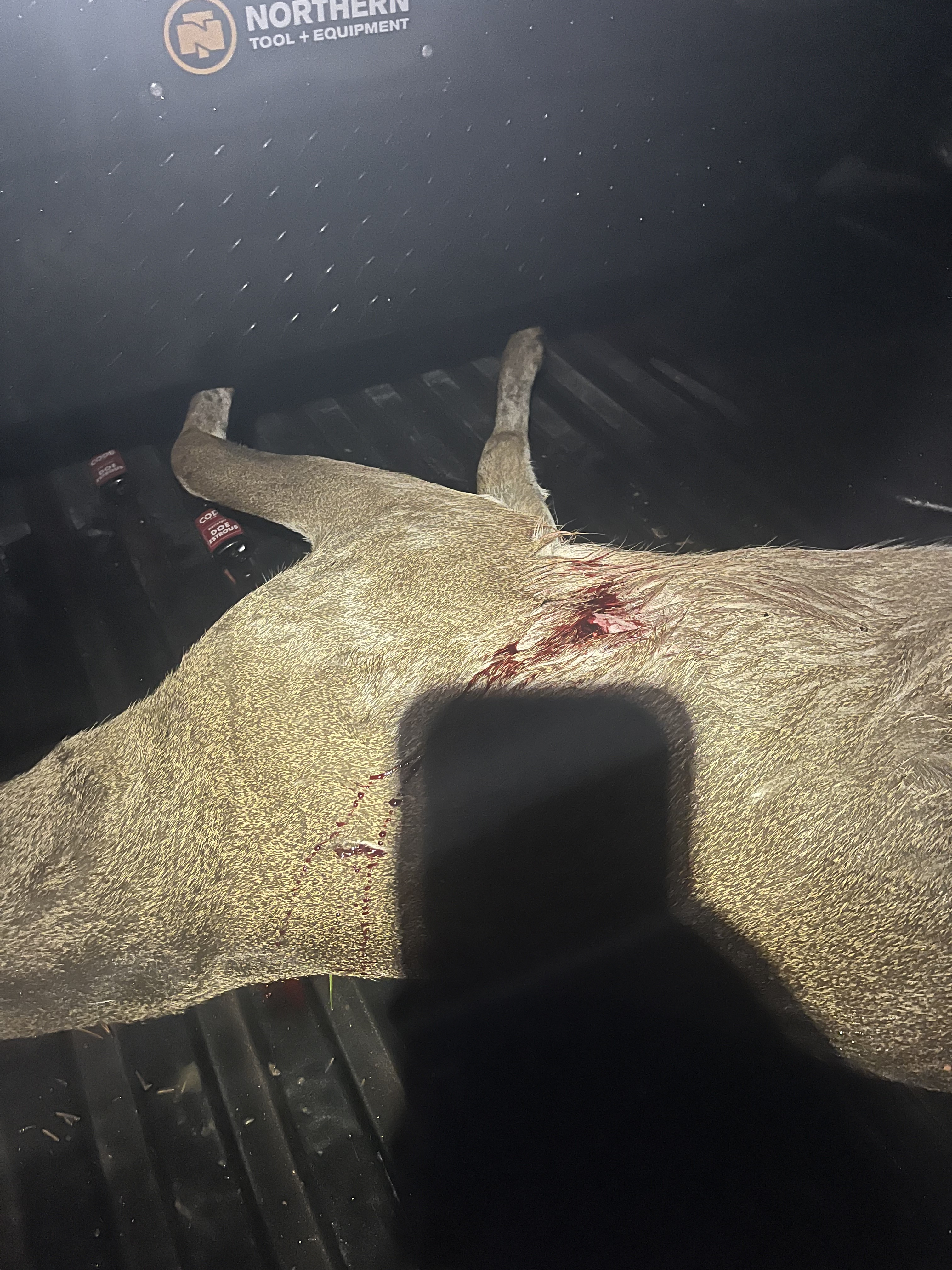 IMG 2742 — Postimages