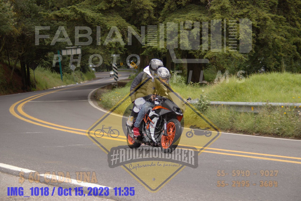 IMG 1018 — Postimages