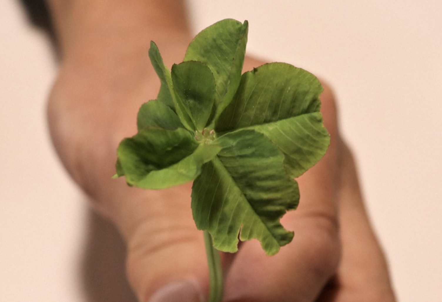 Good News: Bionic Arms, Fortune Cookies, and Eight-Leaf Clovers ...