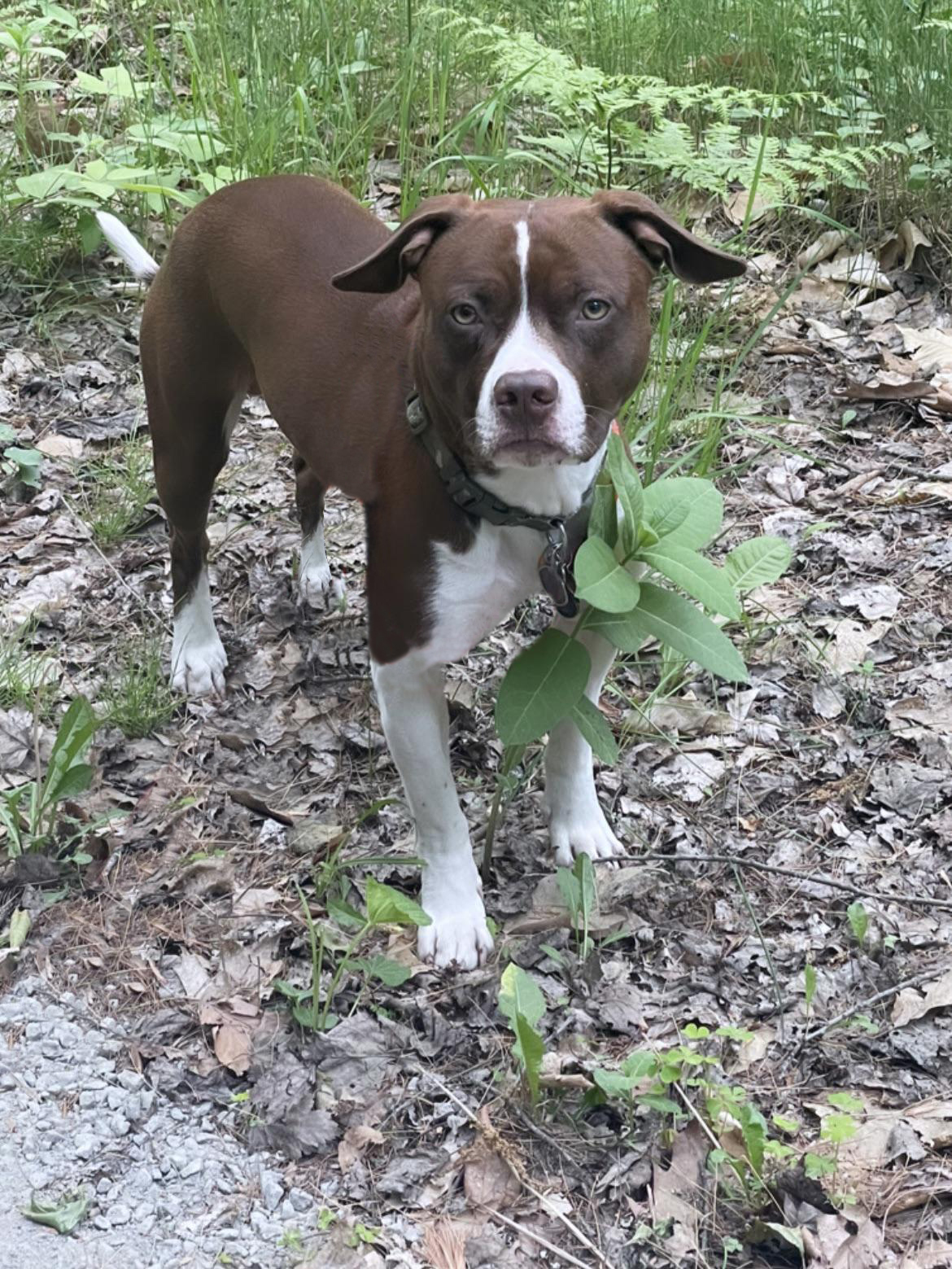 fwvfxt5lo7491 (1) copy — Postimages