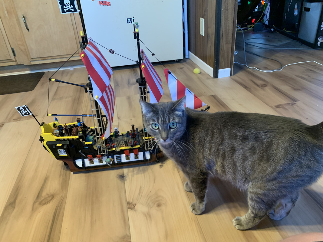 IMG 5114 — Postimages