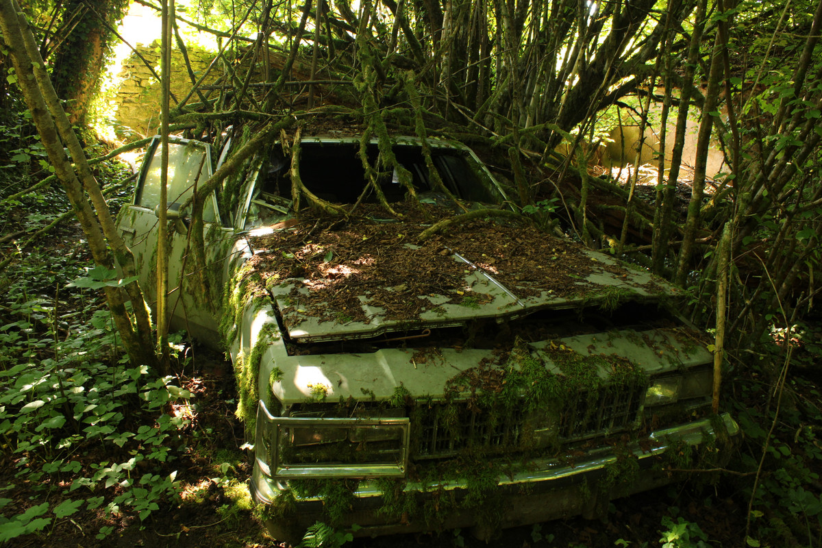 IMG 9789 — Postimages