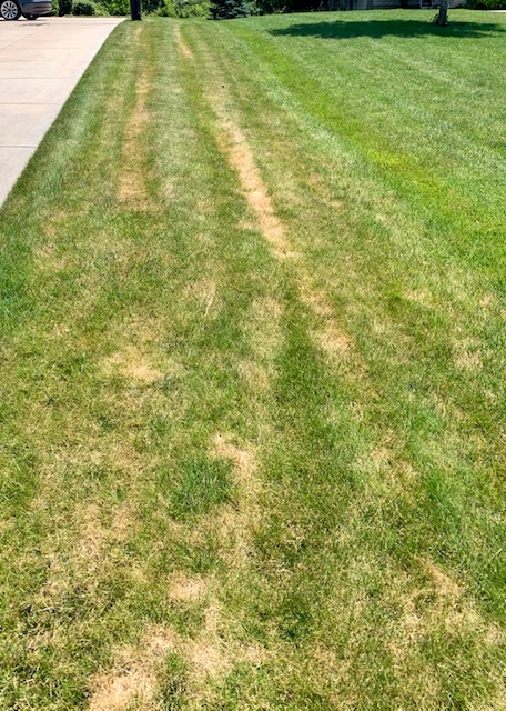 Yellow Lines On Grass | Lawn Care Forum