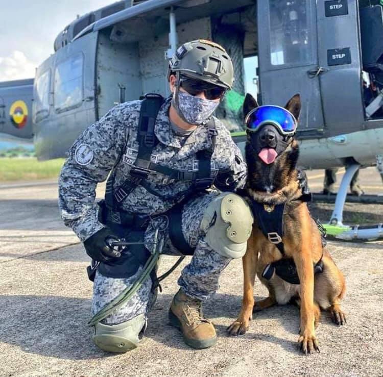 Photos - Pictures of Dogs in the Military & Police (K9) | Page 27 ...