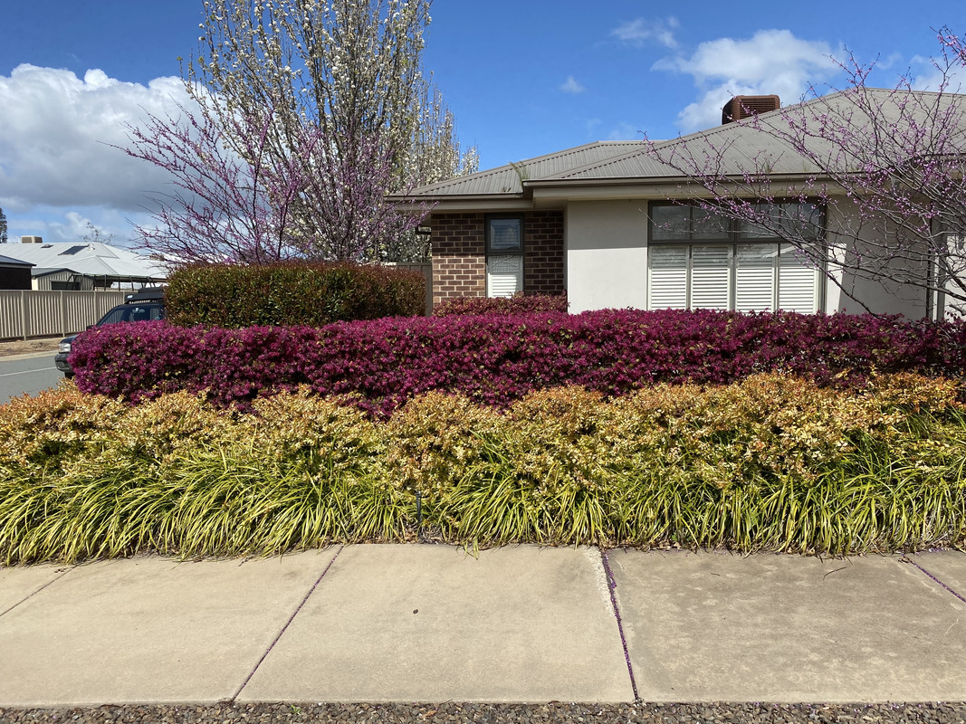 IMG 1222 — Postimages