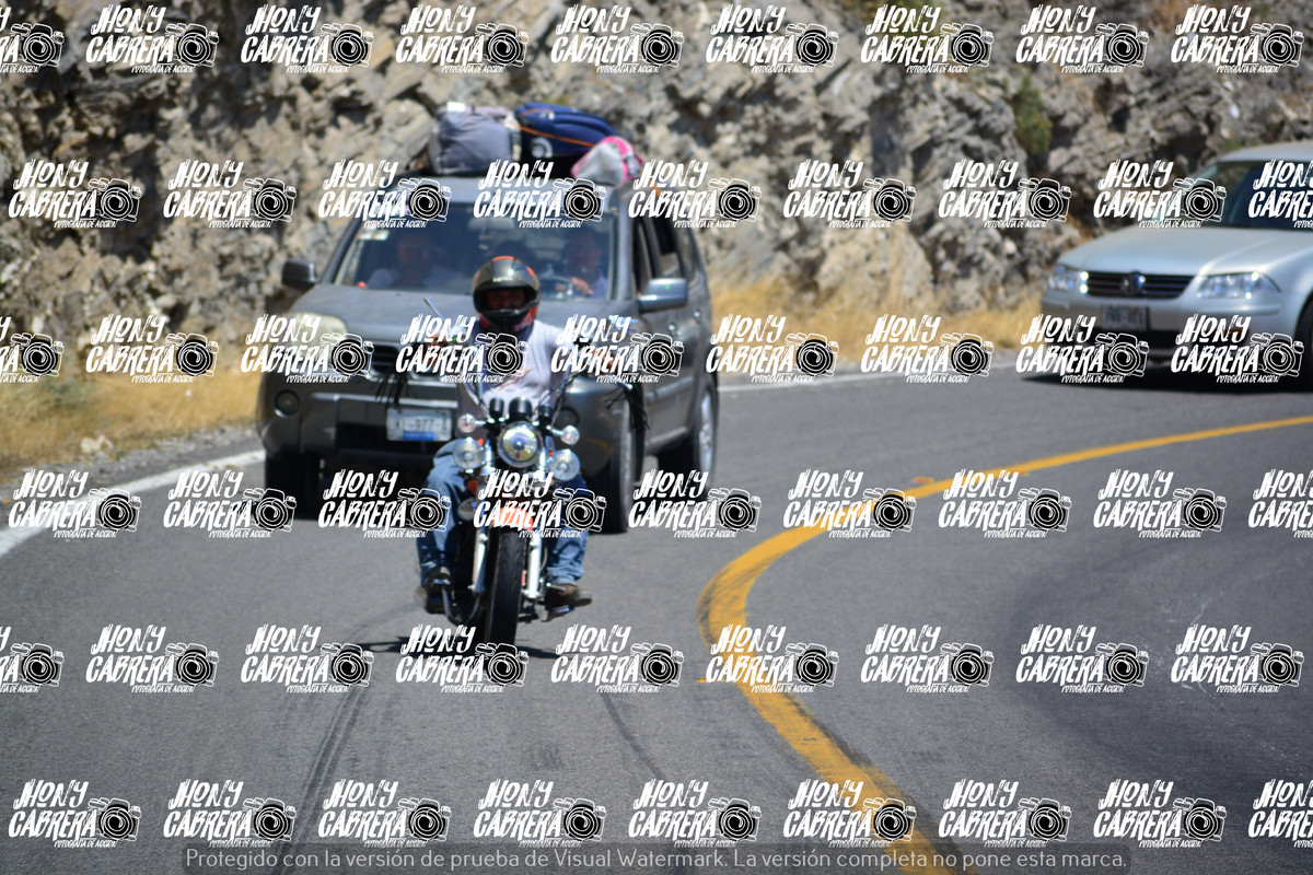 DSC 0195 — Postimages