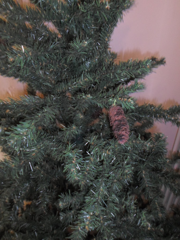 SAM 0262 — Postimages