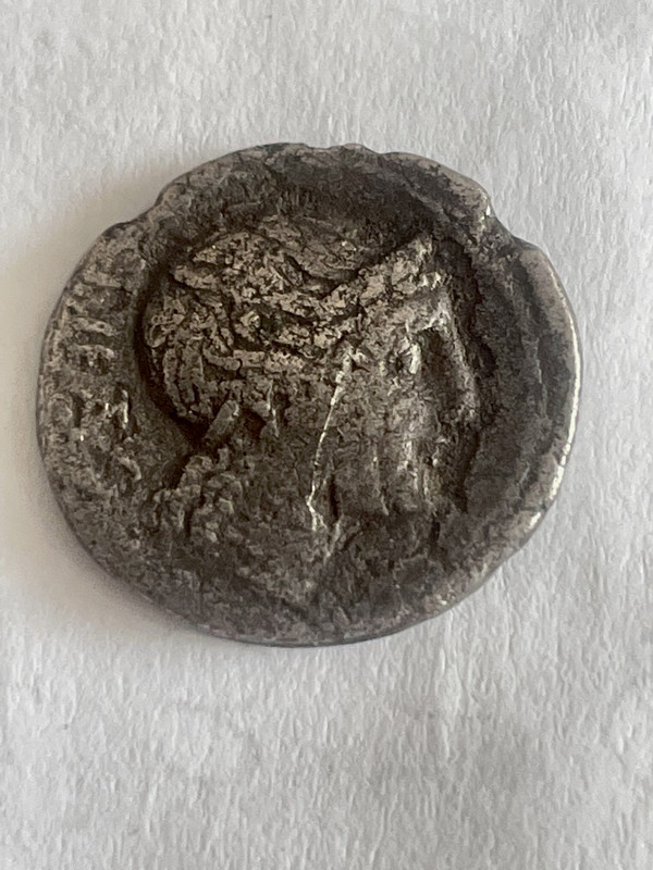 Denario forrado de la gens Herennia. M HERENNI. Amphinomus llevando en ...