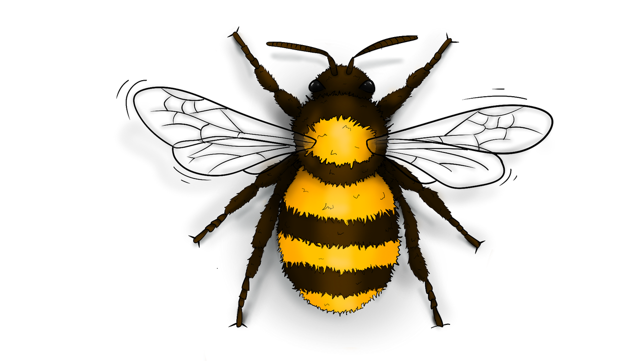 New Drawing 14 — Postimages