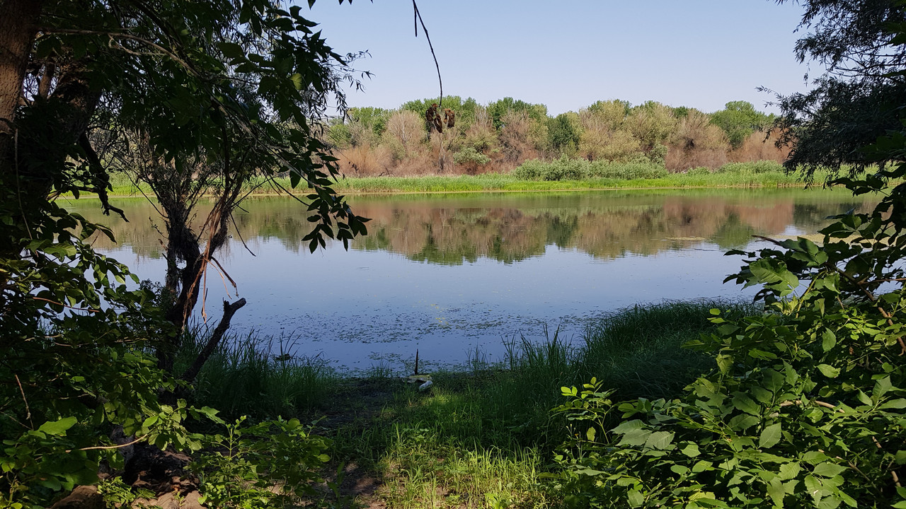 20210720 100107 — Postimages