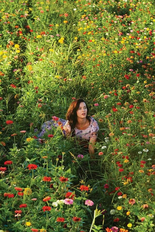 Prism Katy Perry Album Cover Hq