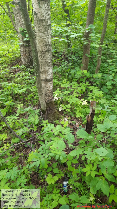 20230622 081831 — Postimages