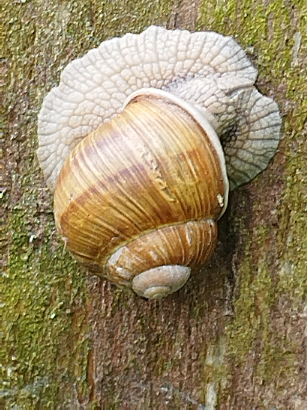 IMG 20240604 121228 — Postimages