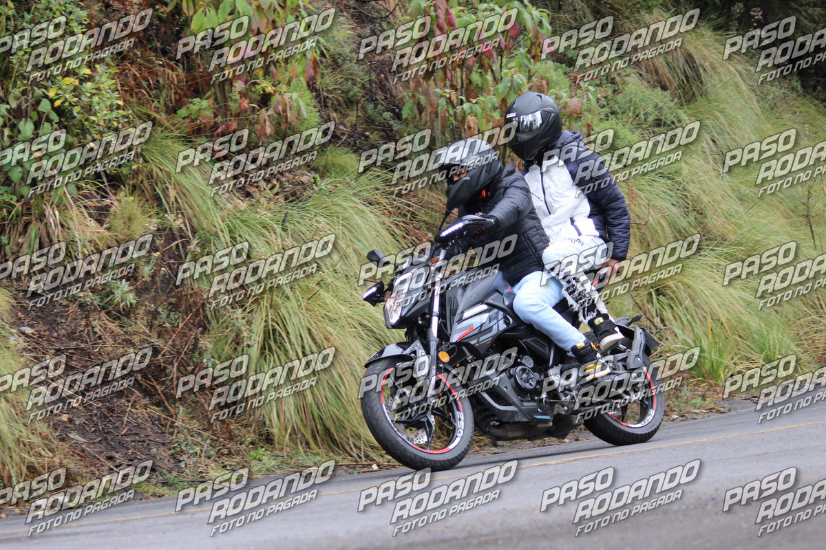 IMG 9503 — Postimages