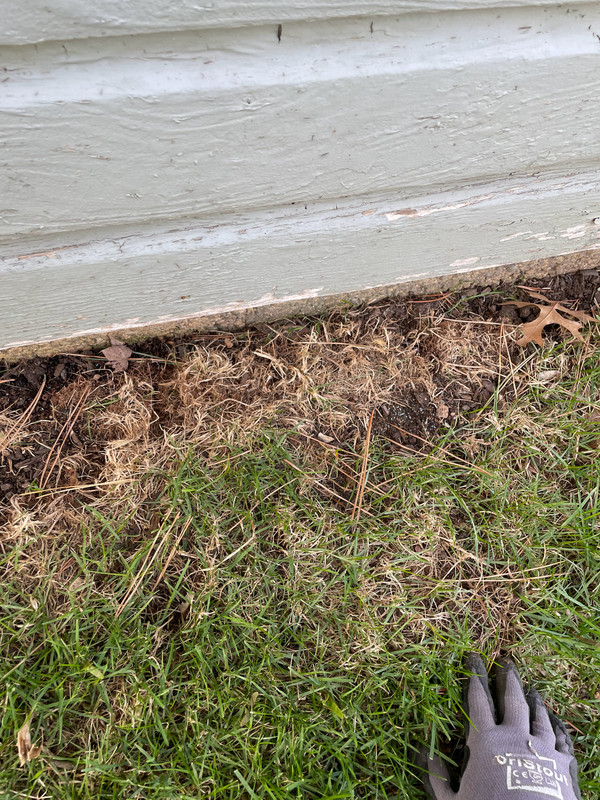 2 year old SOD, damage? | Lawn Care Forum