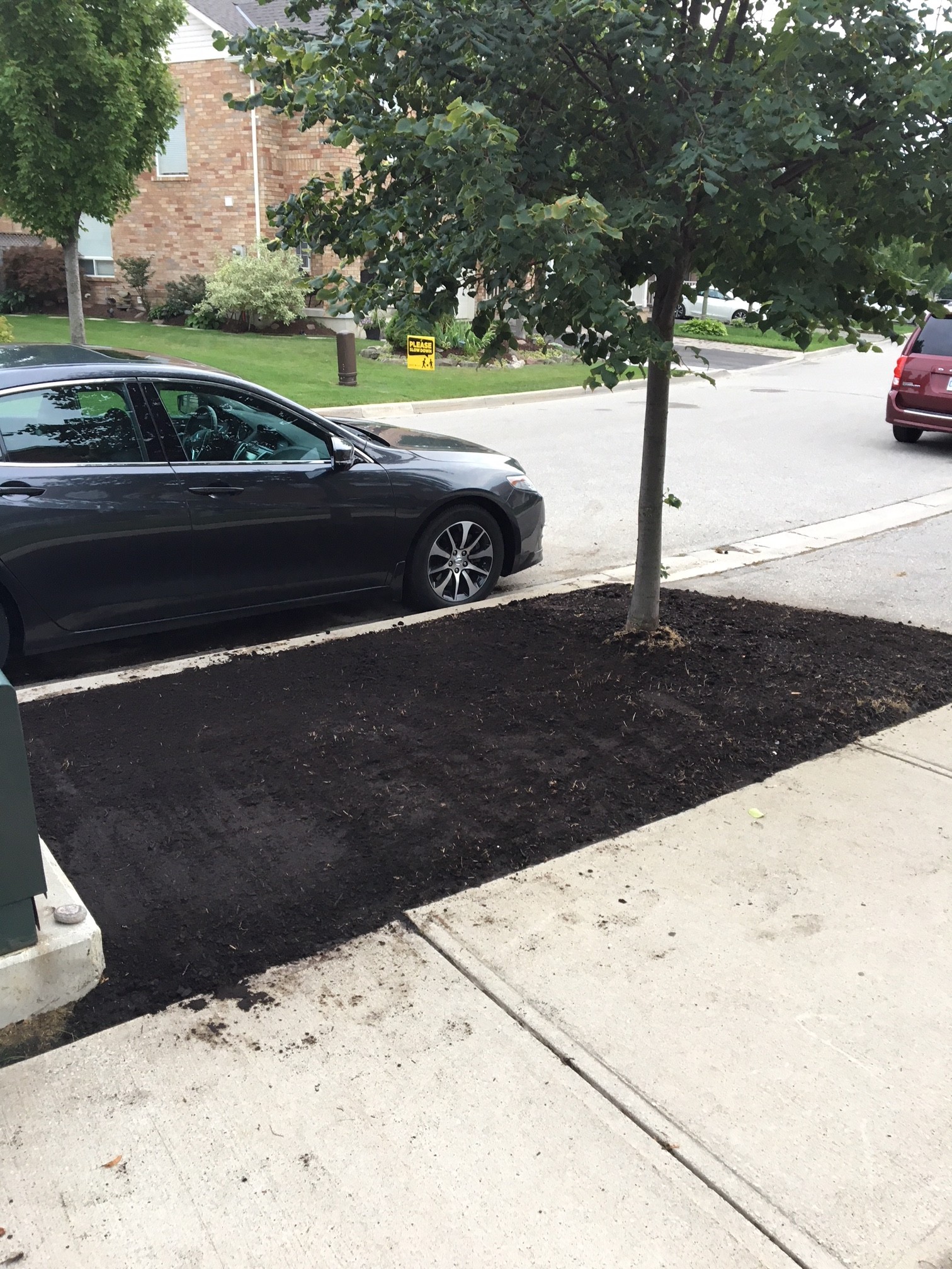 IMG 1123 — Postimages