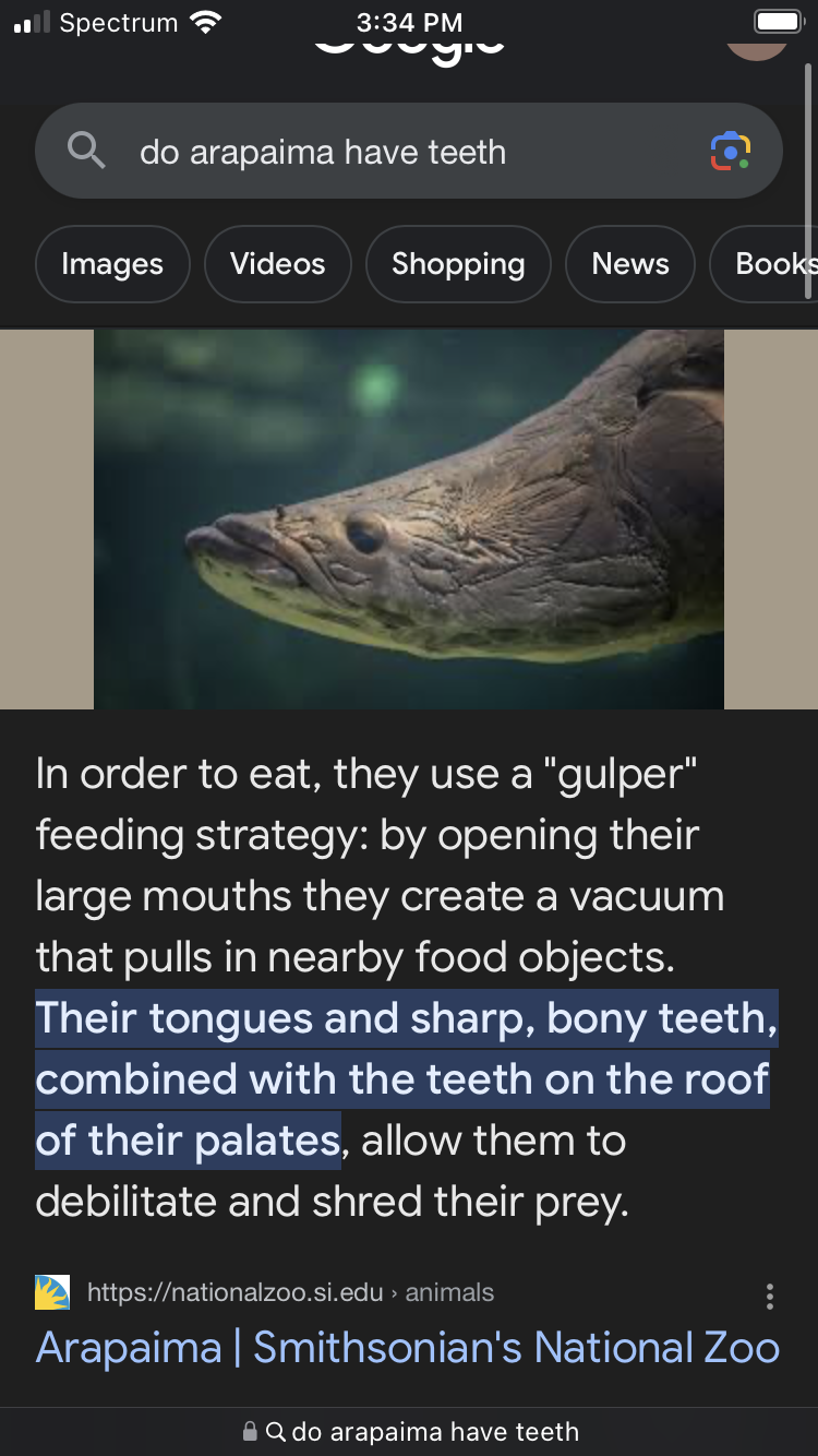 IMG 1522 — Postimages