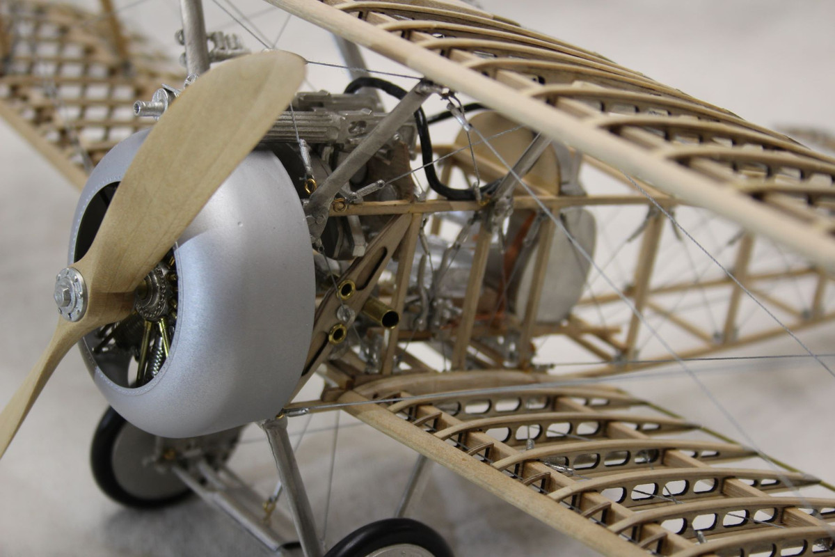 Holy Moly, I finished a model! 1/16 Camel skeleton!! - Ready for ...