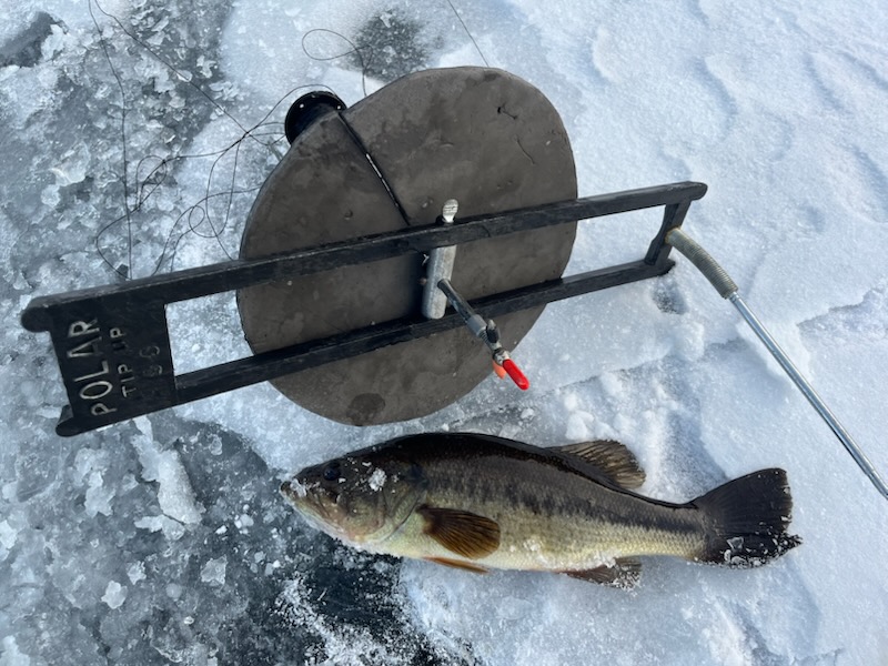 8832 D15 D D7 BB 4165 8 FAD A25653 A16237 — Postimages