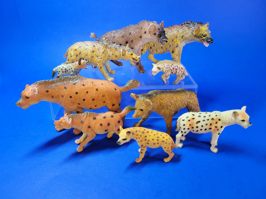 20230429 200426 — Postimages