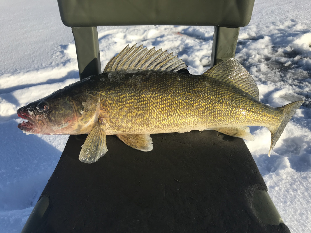 IMG 1591 — Postimages