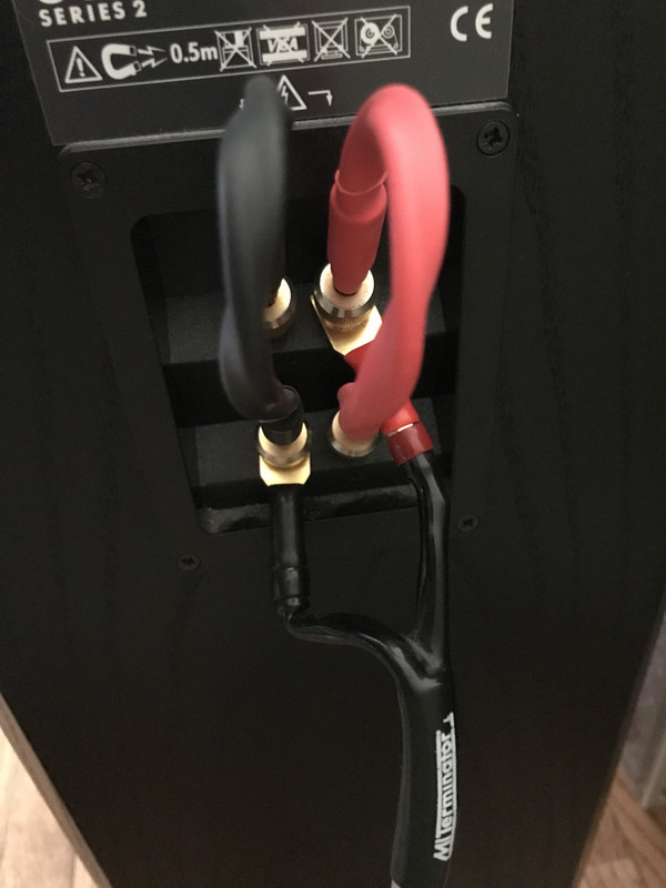 Diagonal Wiring Speakers With Jumpers | Page 3 | Steve Hoffman Music Forums