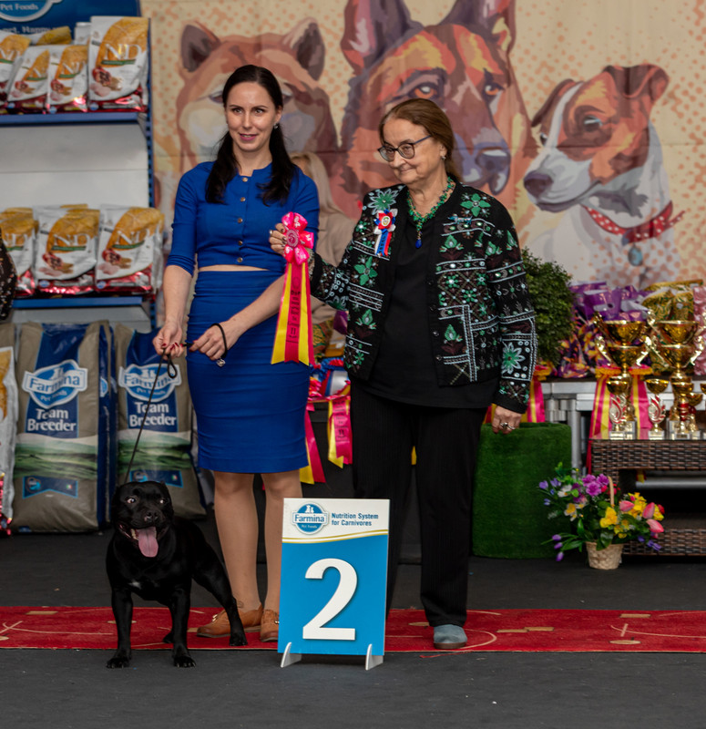 01 1266 — Postimages