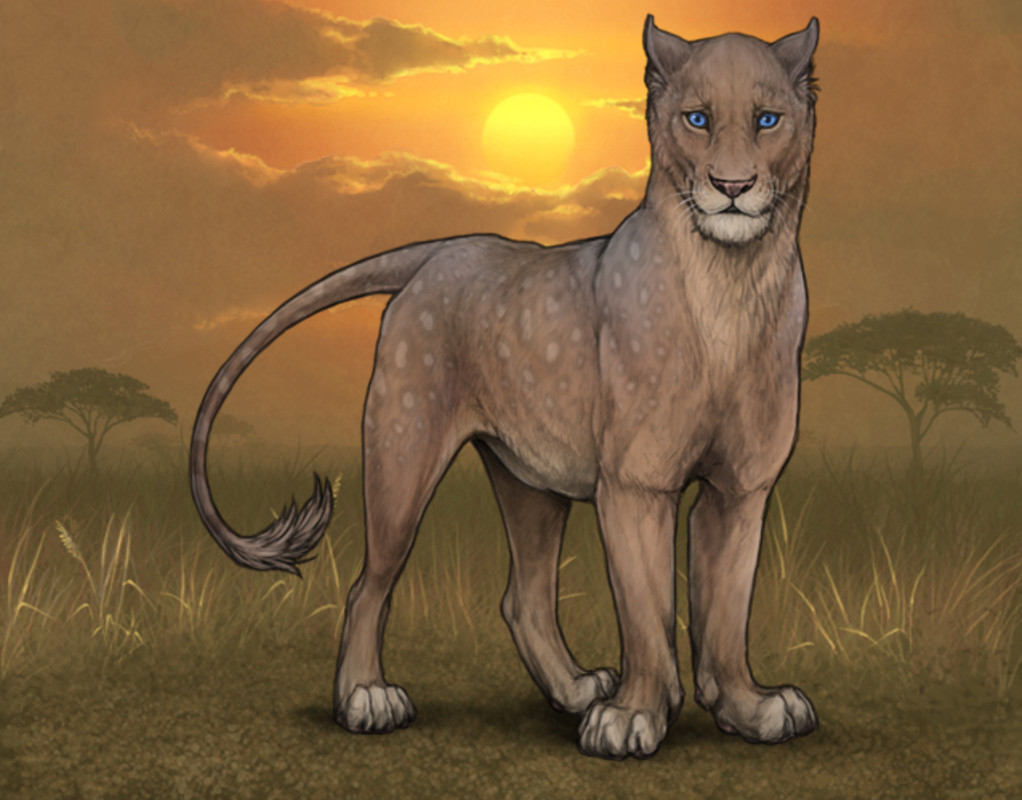 { Capri’s Lion Sales } :|: Lioden