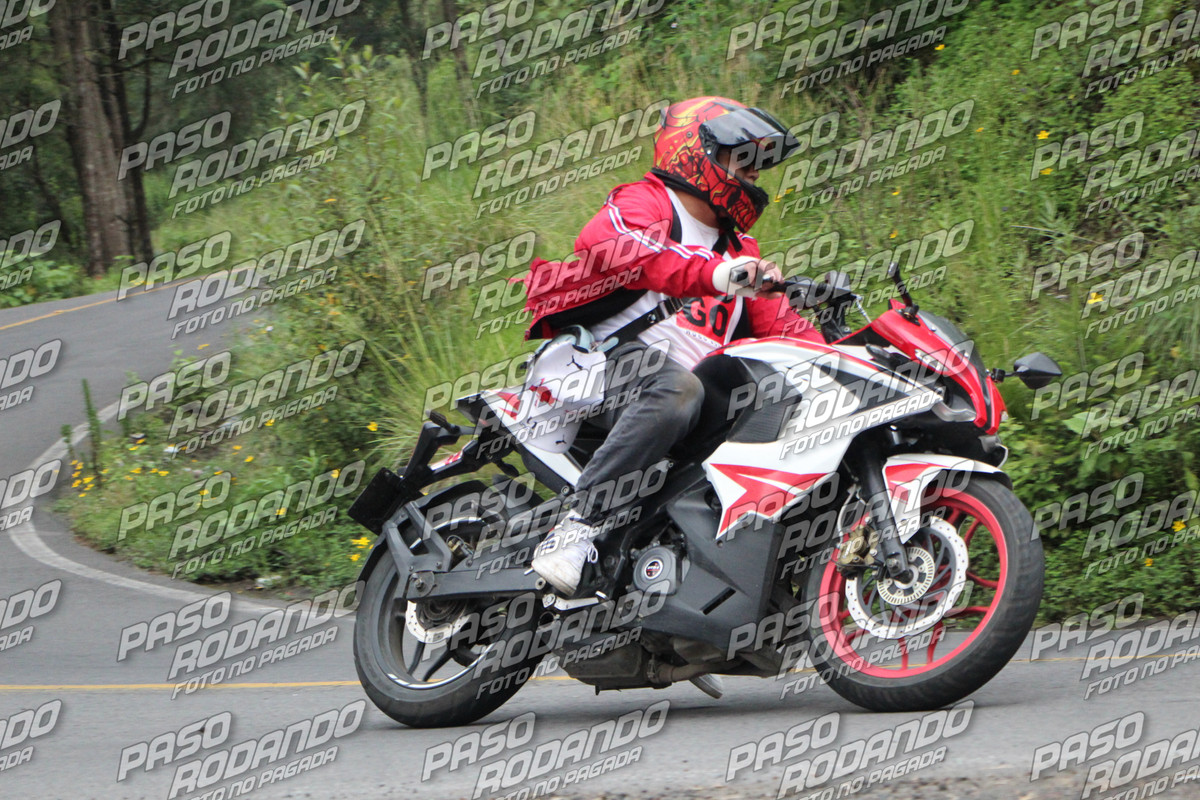 IMG 2918 wm 316668 5999999996 watermarked — Postimages