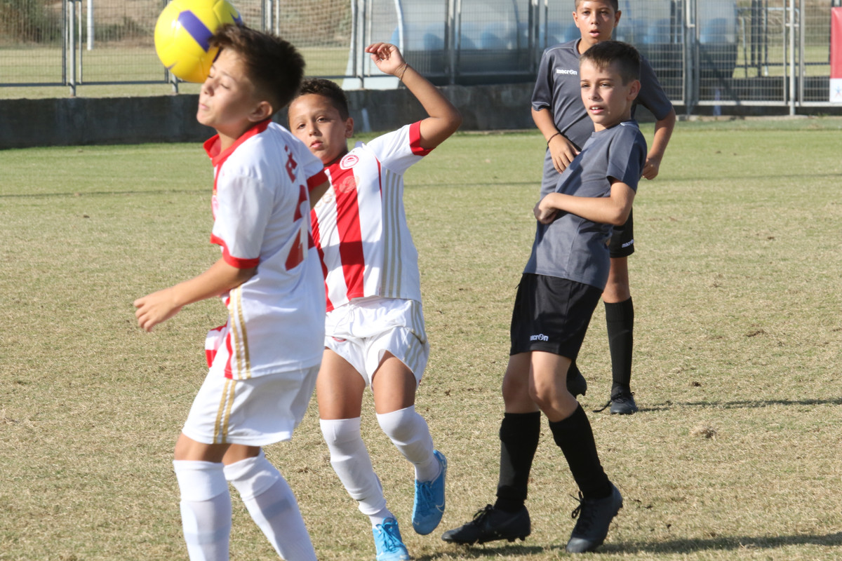 KOS 8025 — Postimages