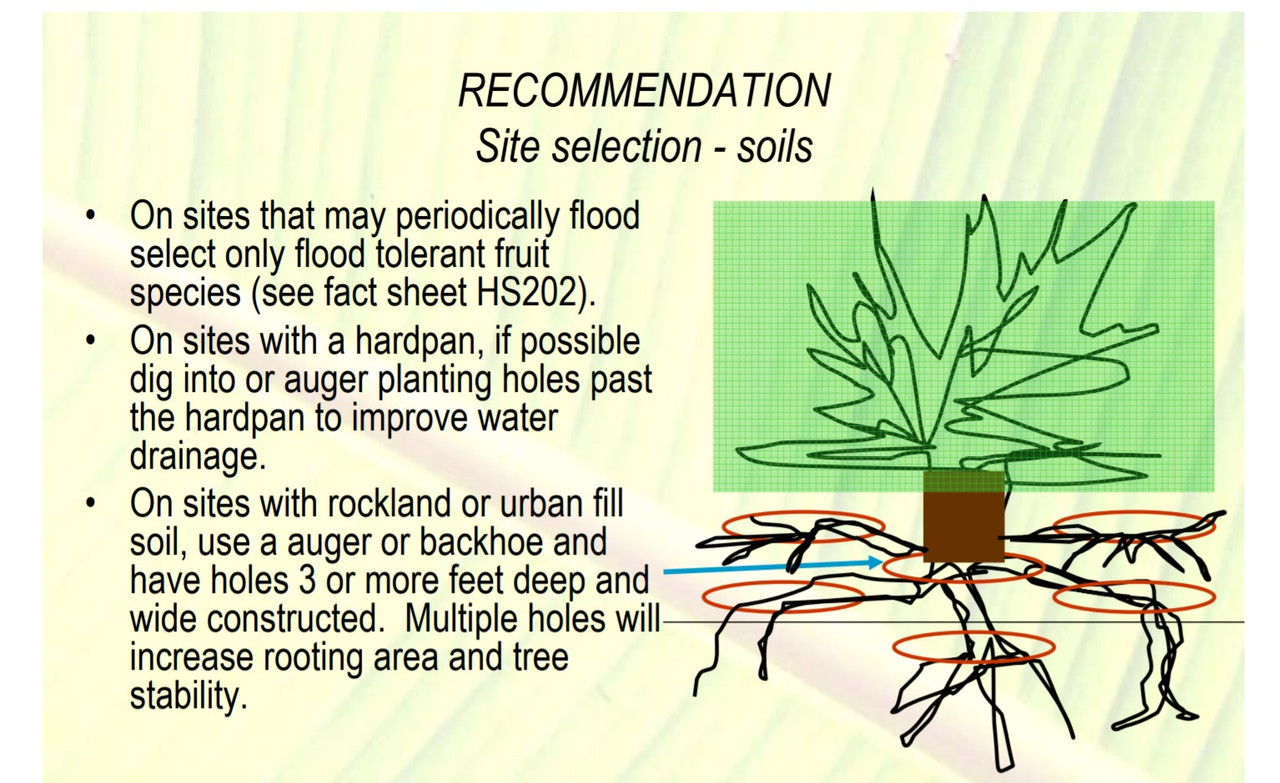 Hardpan strategy — Postimages