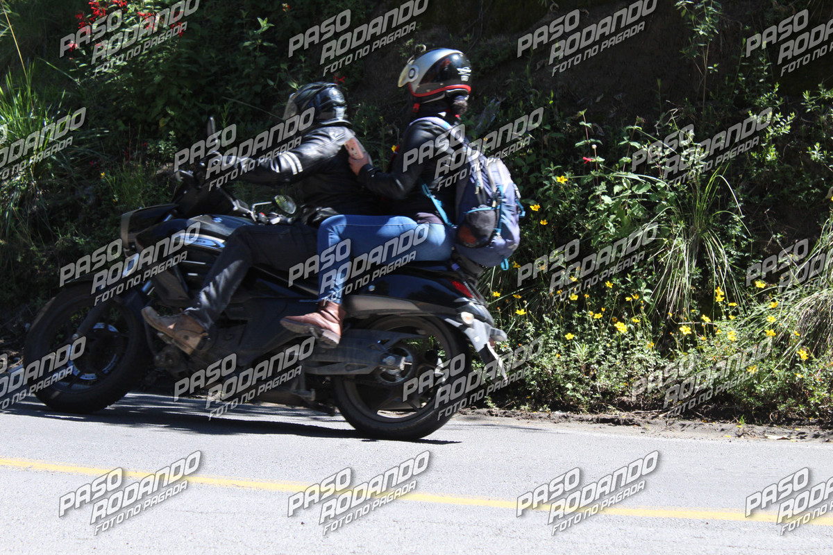 IMG 4139 wm 2393222 7 watermarked — Postimages