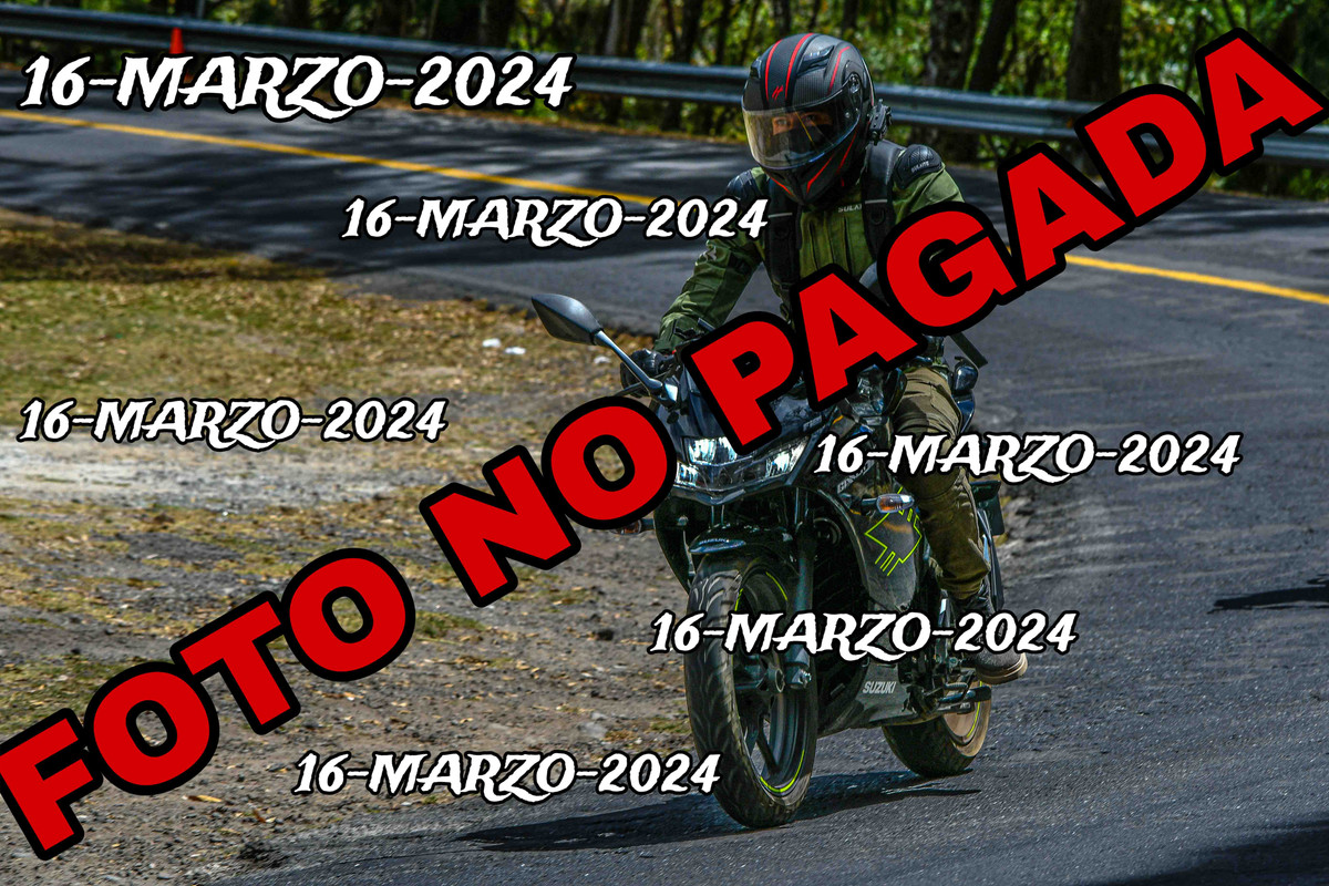 CC 1295 — Postimages