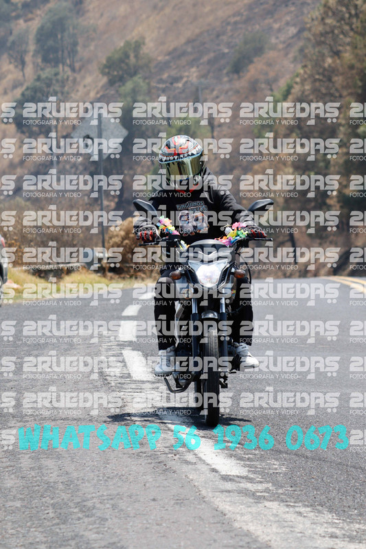 MG 1503 — Postimages