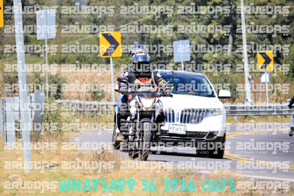 MG 1283 — Postimages