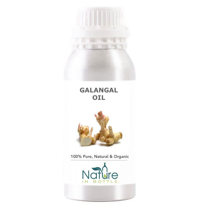 Galangal Essential Oil Organic - Alpinia Galanga Root