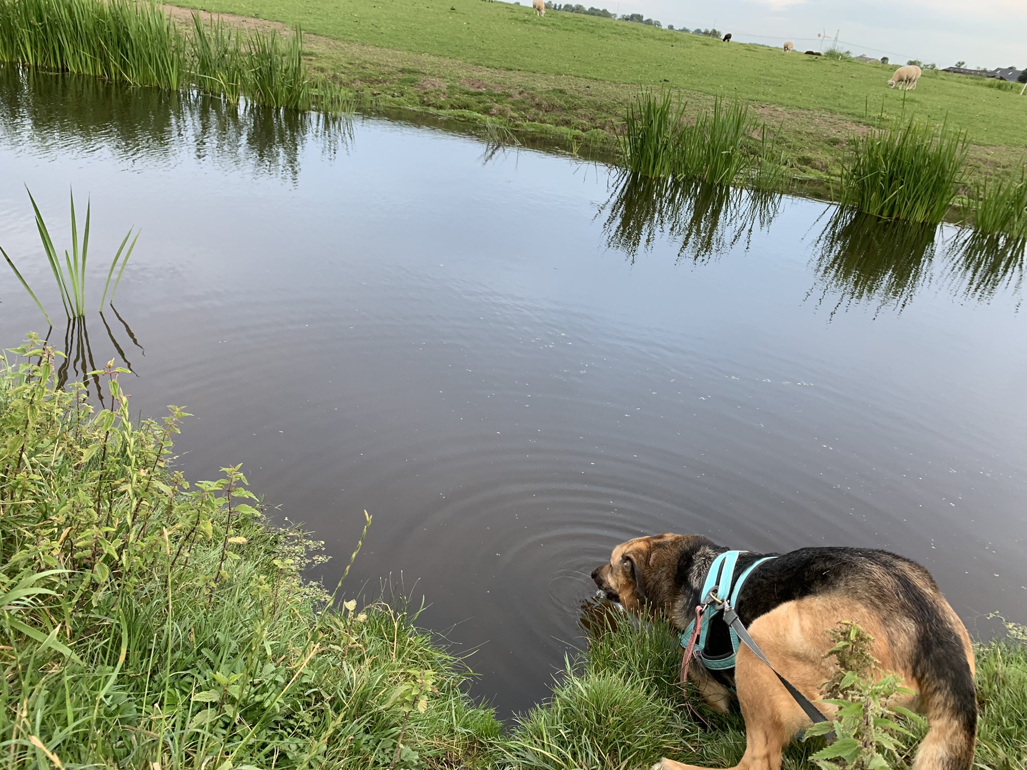 FY0 Ph Ph XEAIp Qgk — Postimages