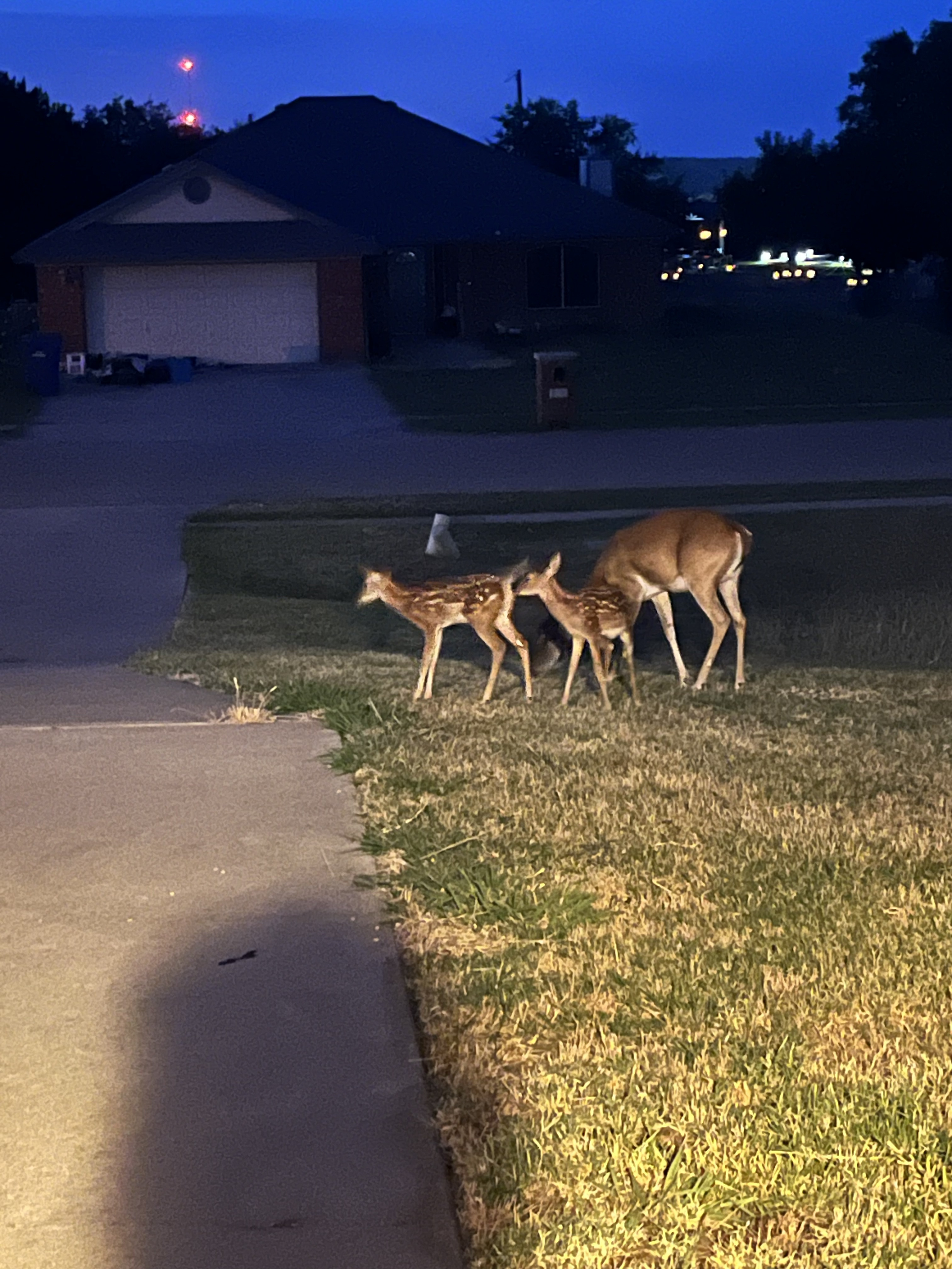 IMG 0170 — Postimages