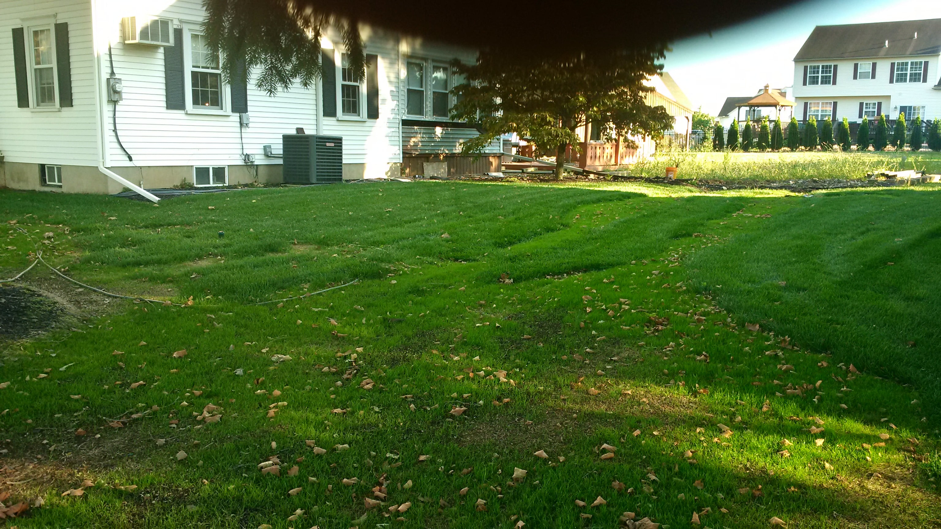 Front yard Side yard — Postimages