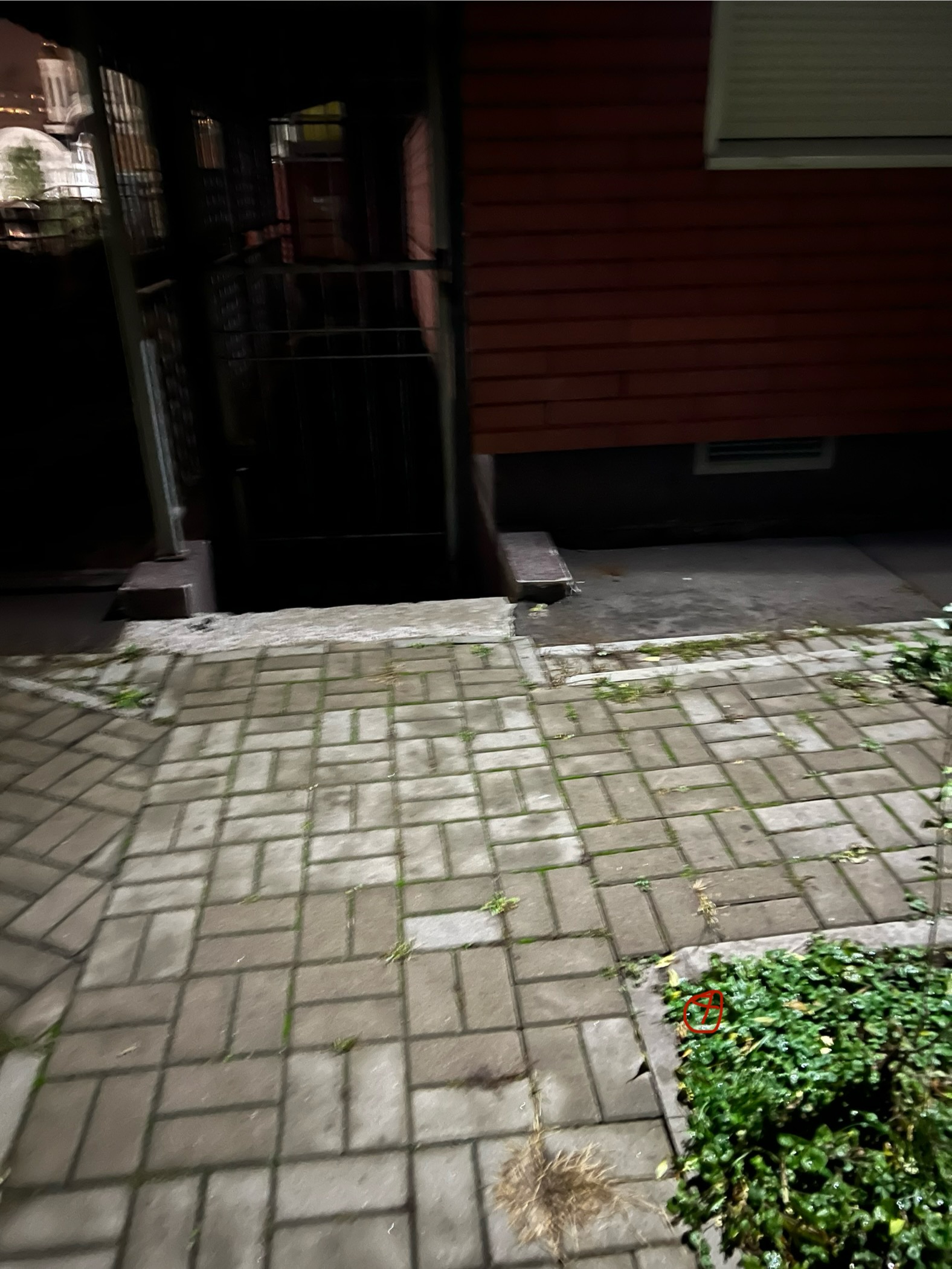 IMG 2724 — Postimages