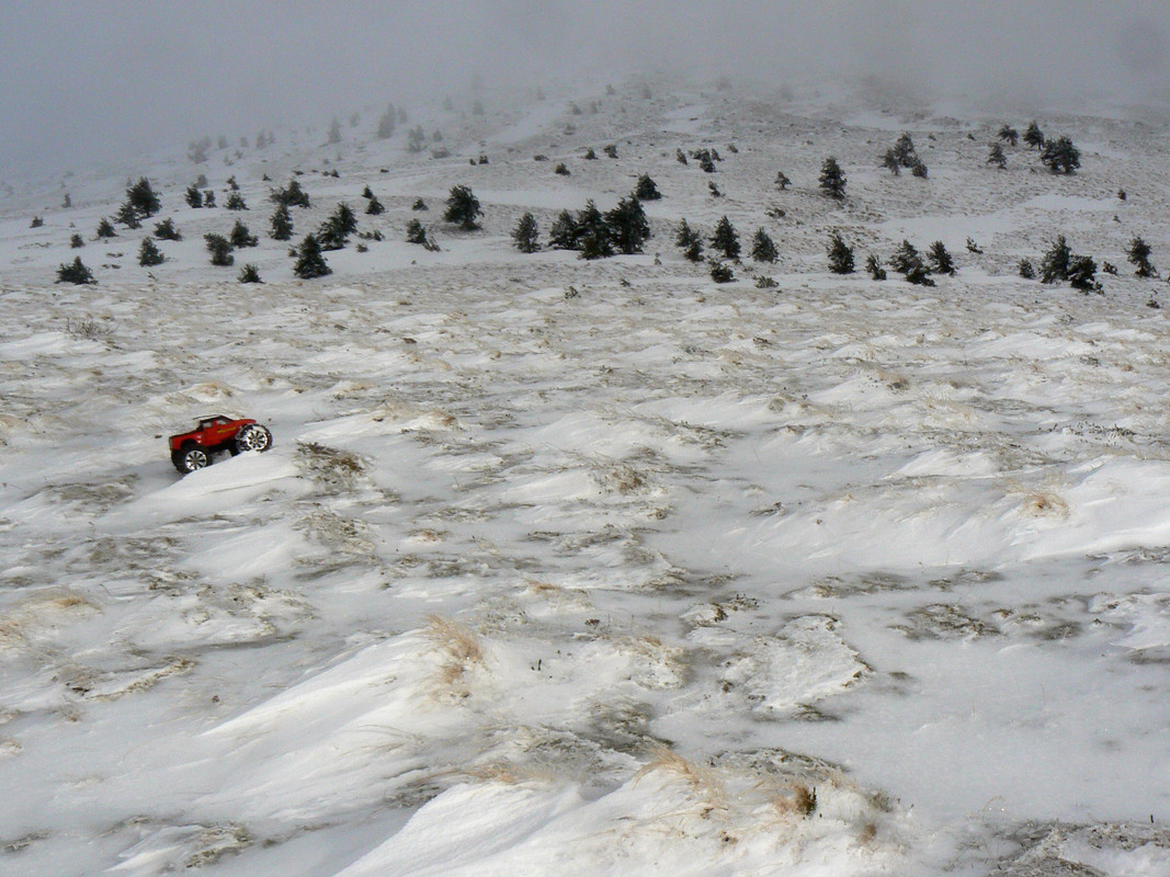 FCBK 204 005 — Postimages